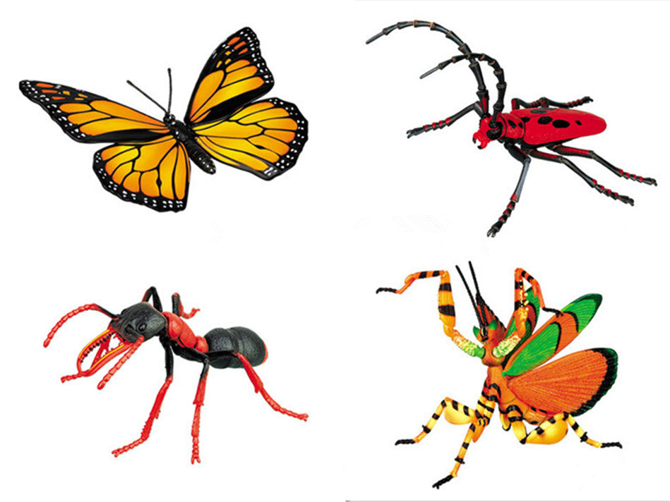 Set of 4 Insect King Part VI Animal 4D 3D Puzzle Realistic Model DIY E ...
