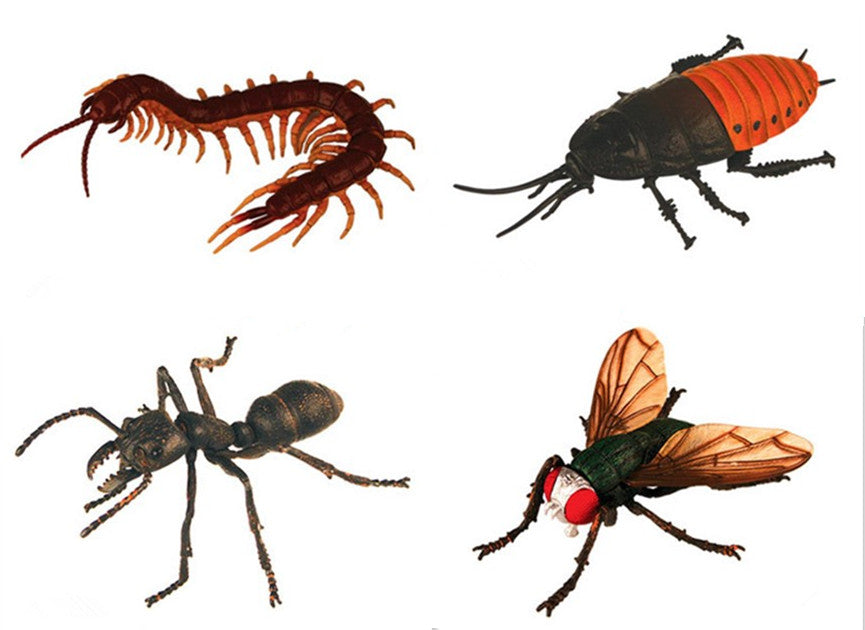 Set of 4 Disgusting Bug Animal 4D 3D Puzzle Realistic Model DIY Educat ...