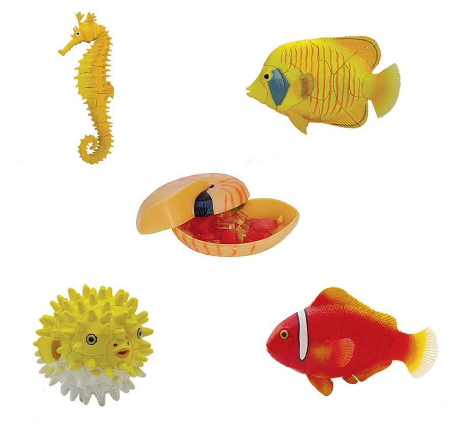 Set of 4 Coral Fish Animal Part II 4D 3D Puzzle Model Educational DIY ...